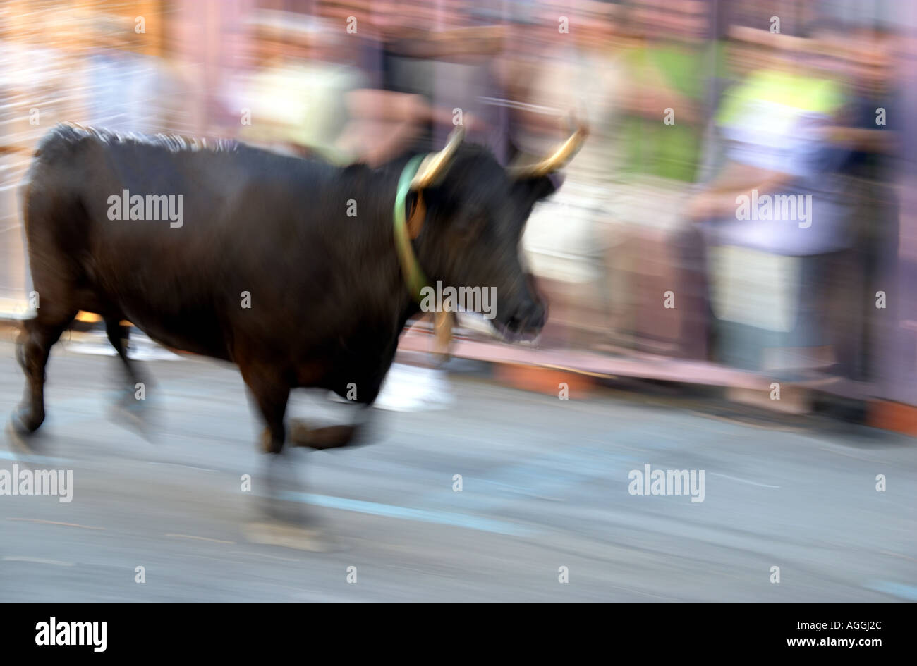 Bull Charging Spain High Resolution Stock Photography and Images - Alamy