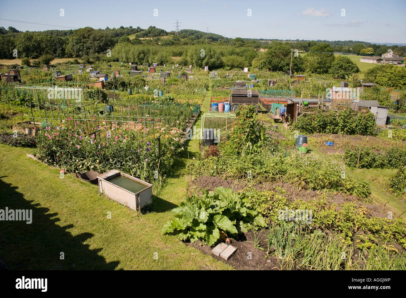 Allotments bristol hi-res stock photography and images - Alamy