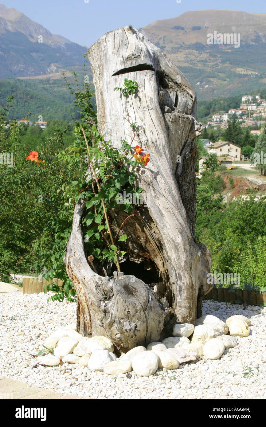 Old bole of a tree used as a container for a flower display Stock Photo ...