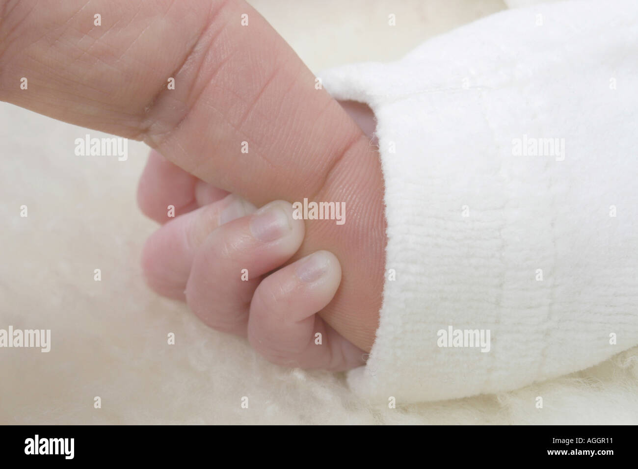 Clasping Hand High Resolution Stock Photography and Images - Alamy