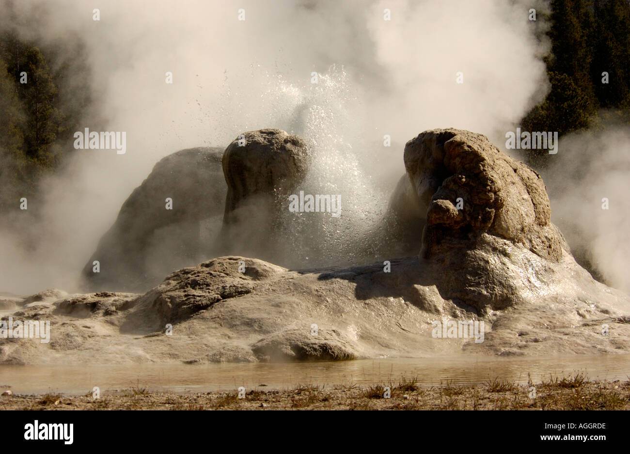 Small geyser erupting hi-res stock photography and images - Alamy