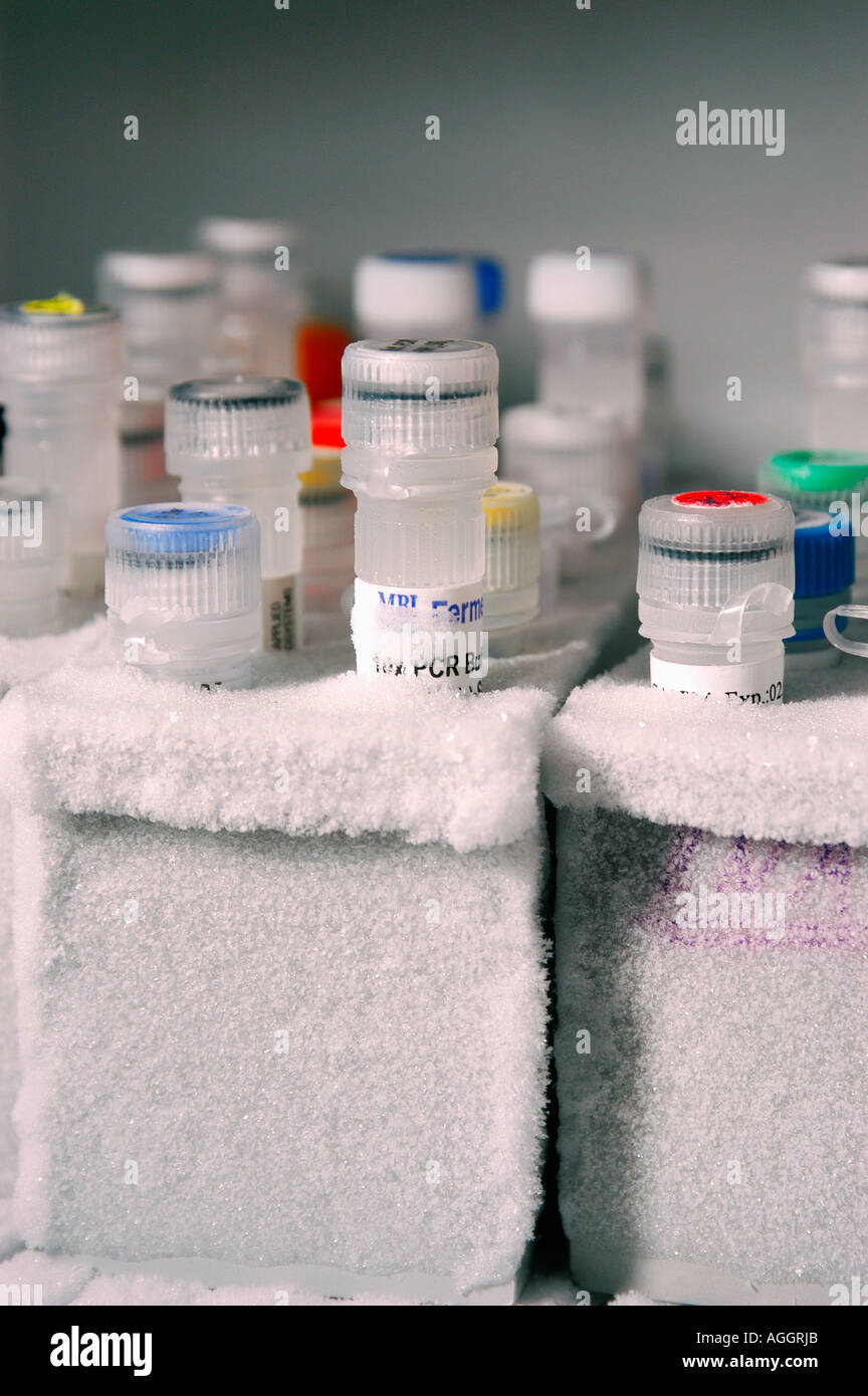 samples in freezer containing material for genetic modification ...