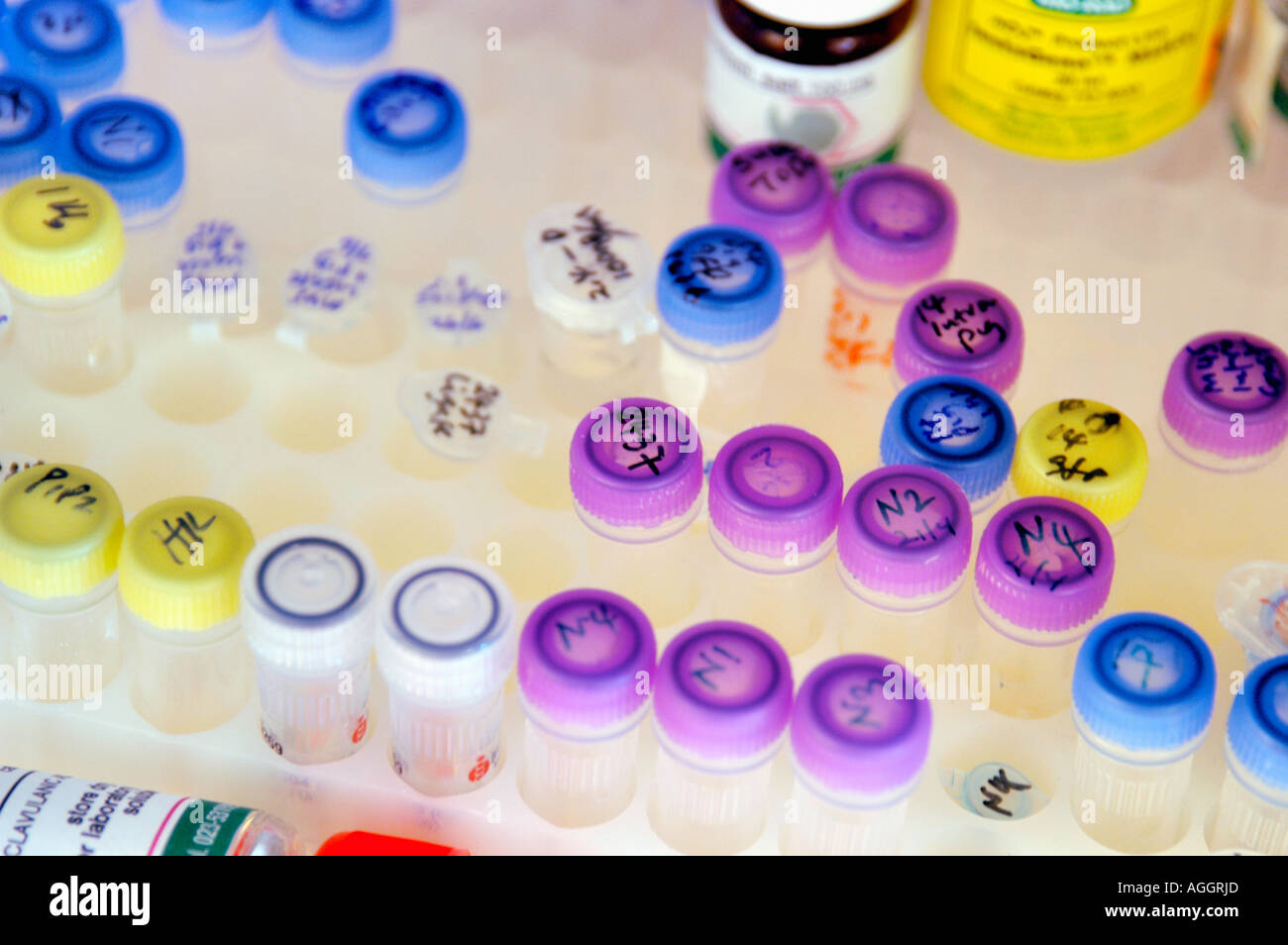 Genemodification hi-res stock photography and images - Alamy