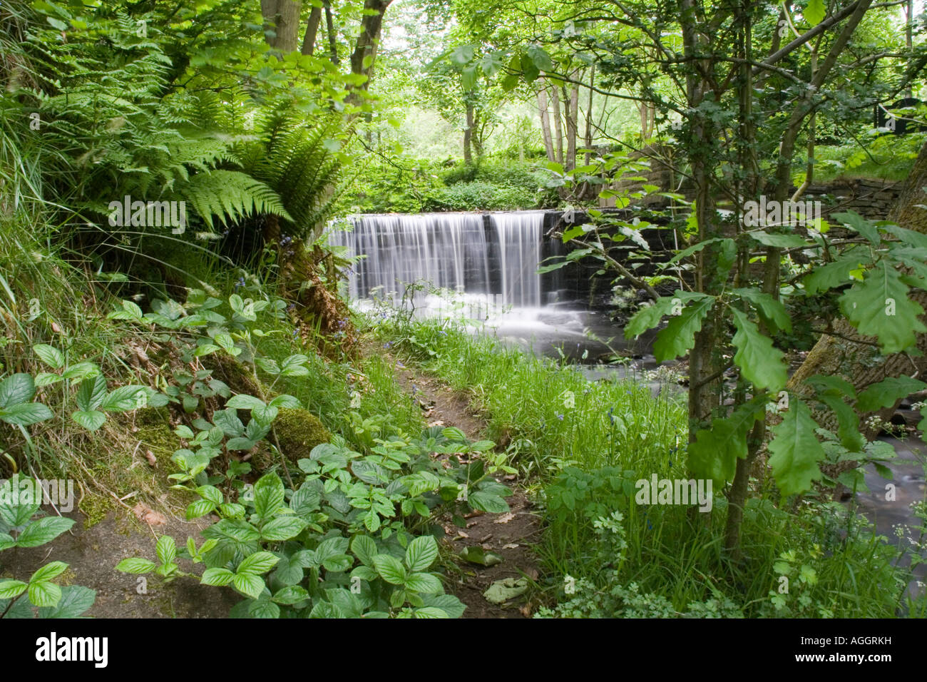 Path to a waterfall Stock Photo - Alamy