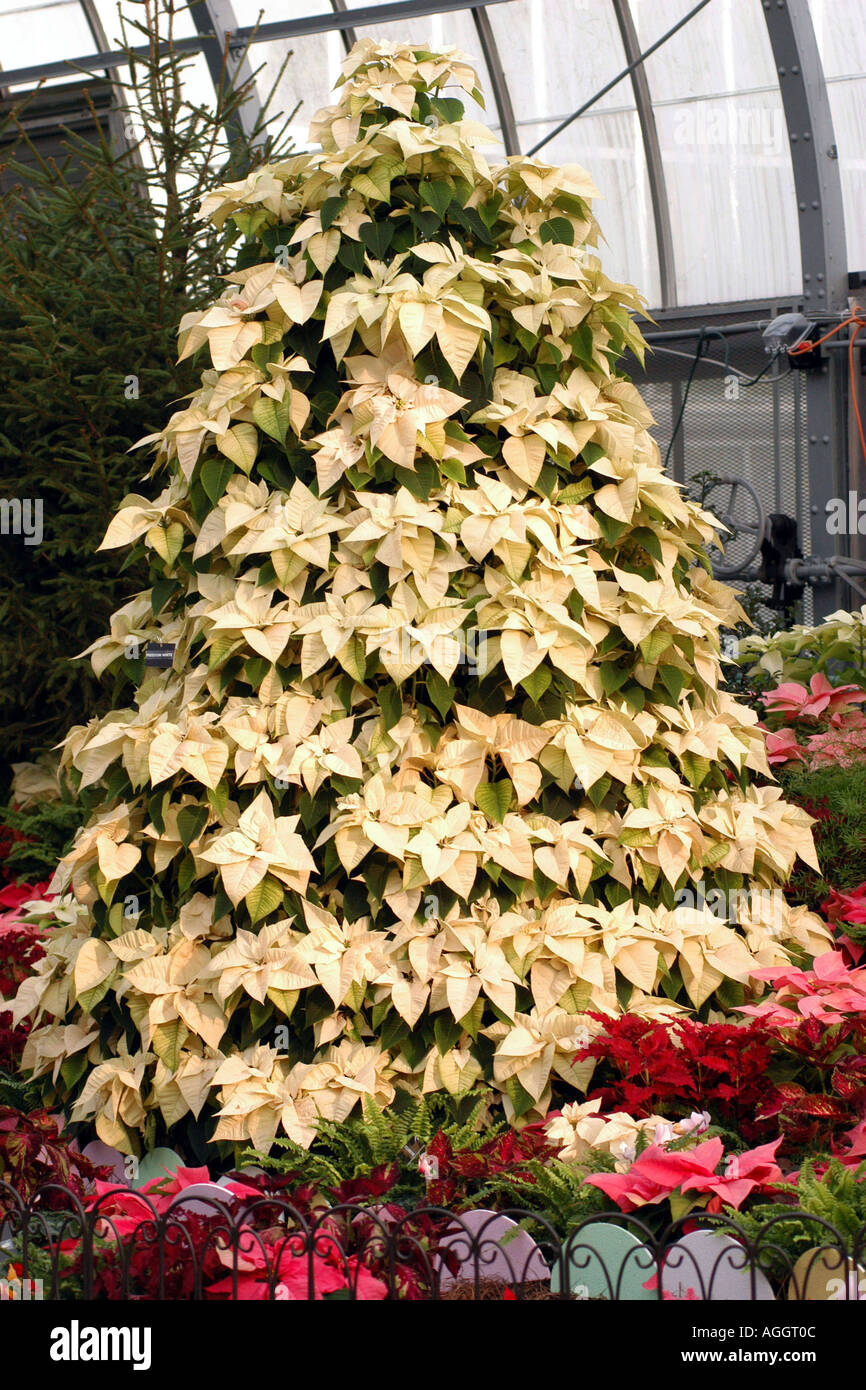 Christmas decorations, Krohn park, Cincinnati Stock Photo - Alamy