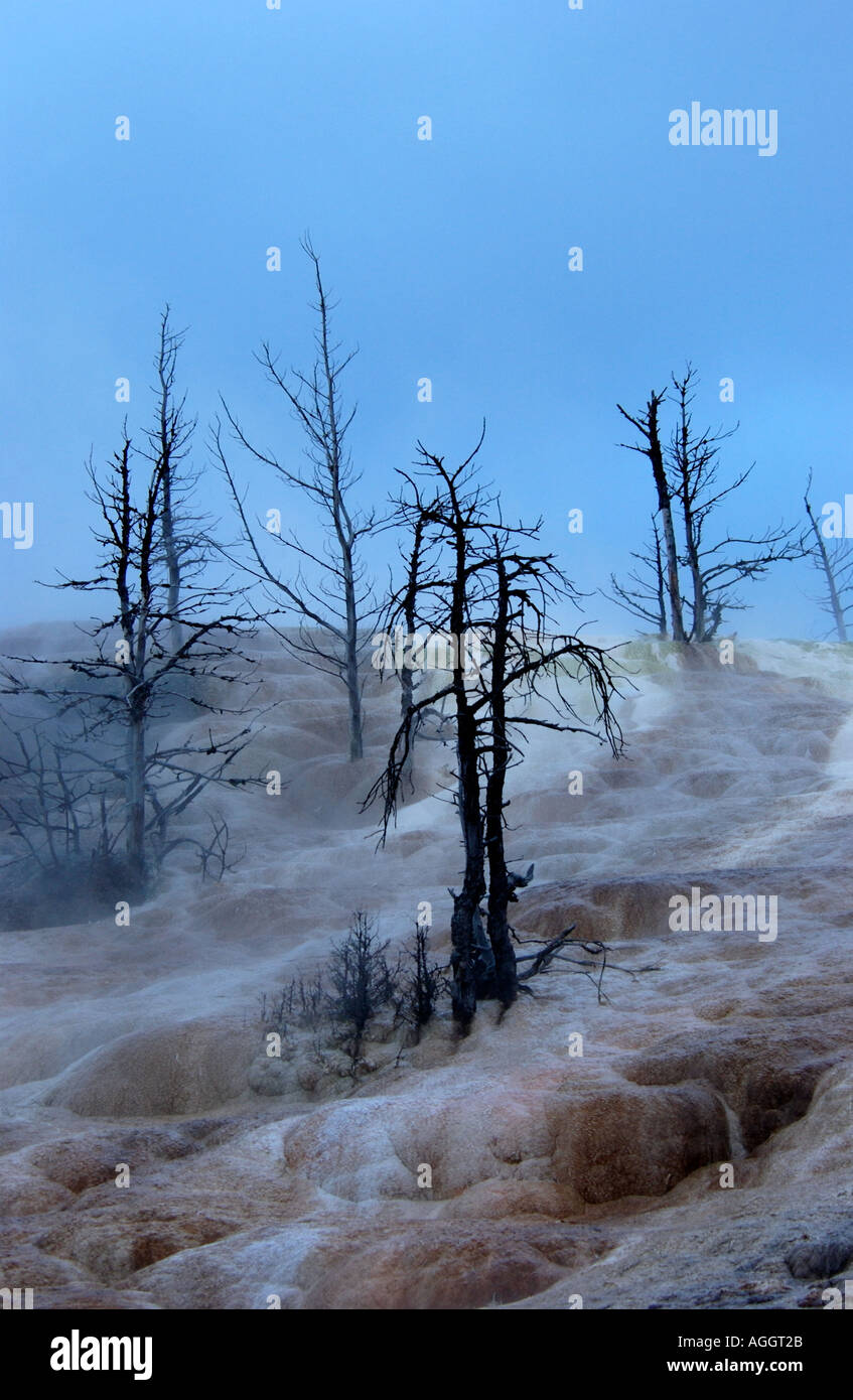 Volcanic activity in yellowstone hi-res stock photography and images ...