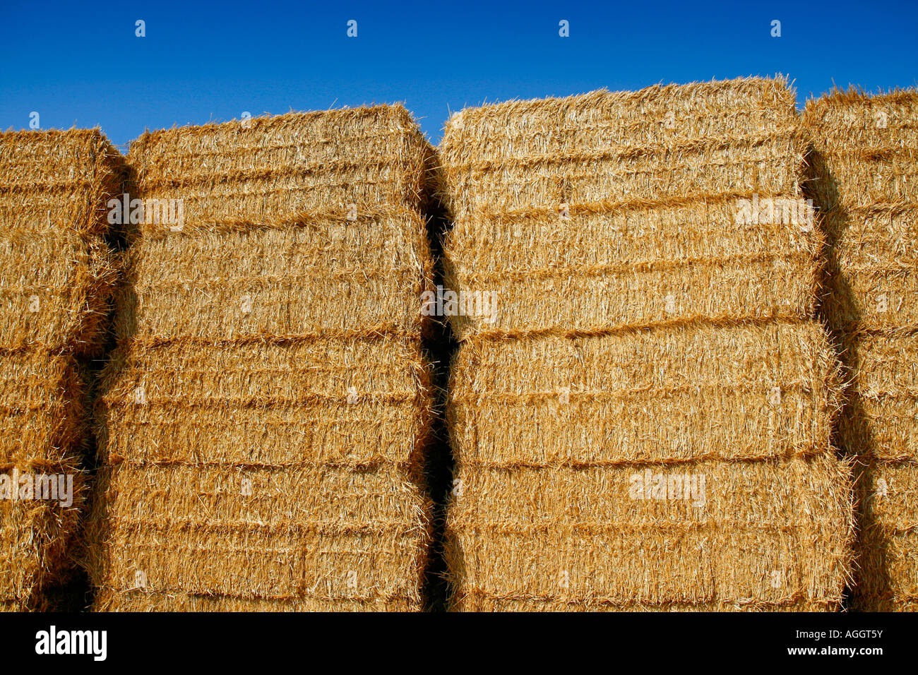 Many stacked straw bales hi-res stock photography and images - Alamy