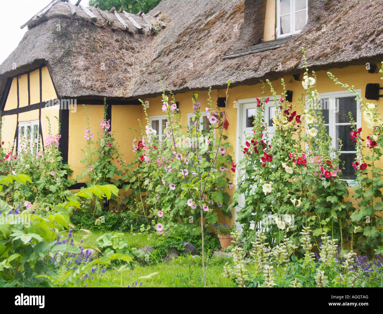 Traditional country cottage in Funen Denmark Stock Photo - Alamy