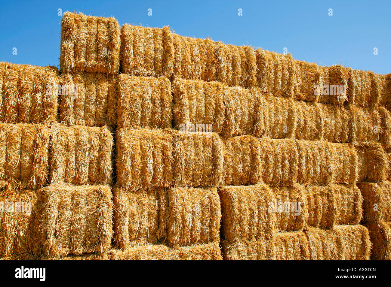 Many stacked straw bales hi-res stock photography and images - Alamy