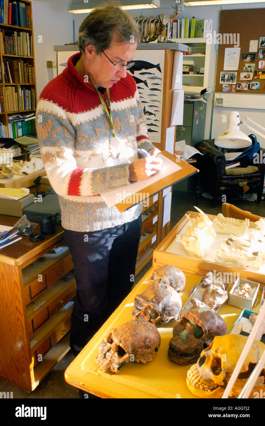 Professor of anthropology with sculls and bones of prehistoric anmals ...