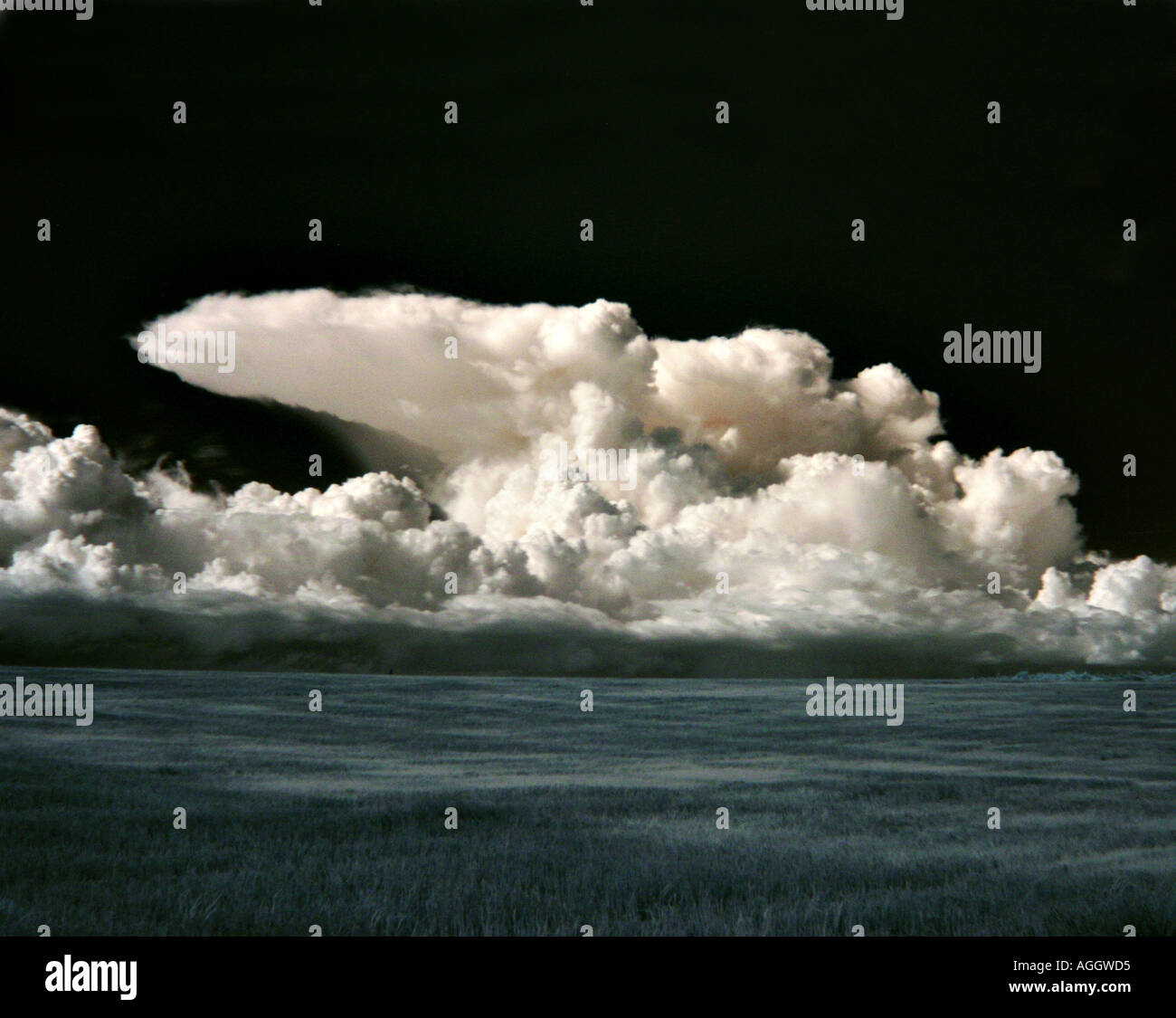 Anvil shaped cumulonimbus storm cloud hi-res stock photography and ...