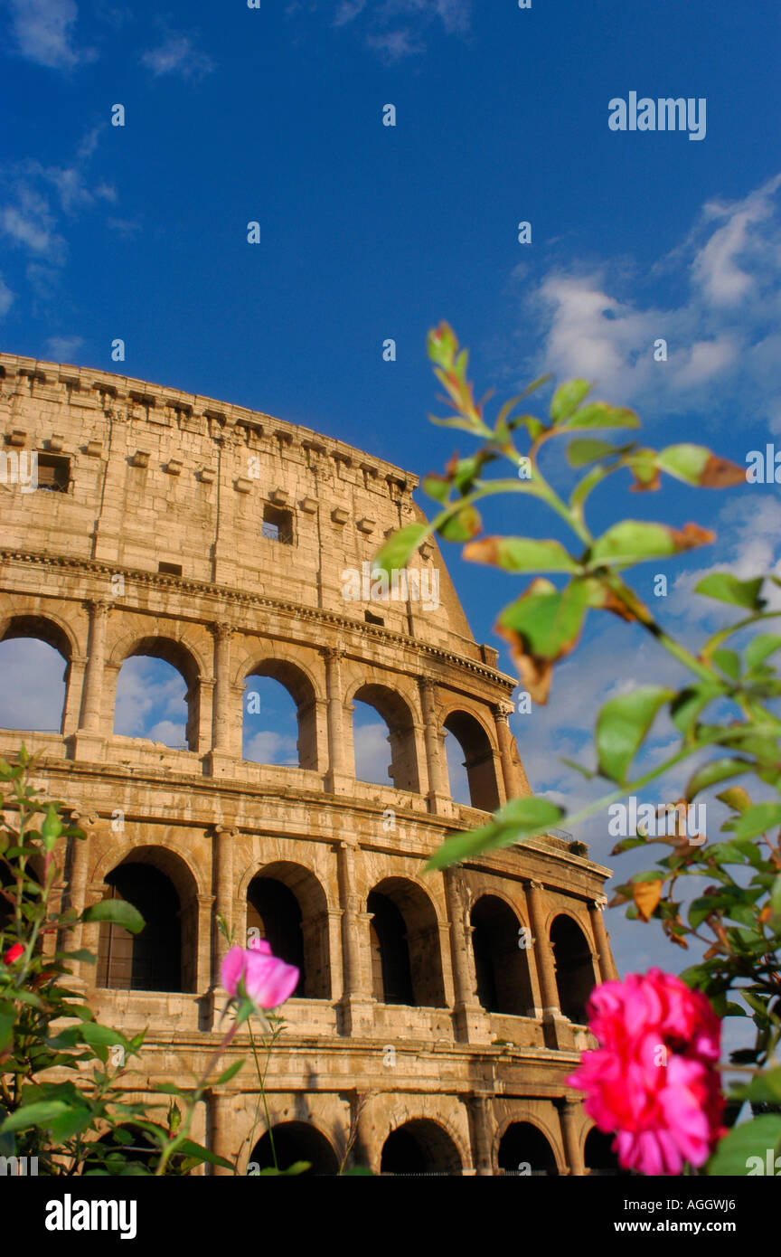 Roman colosseum flowers hi-res stock photography and images - Alamy