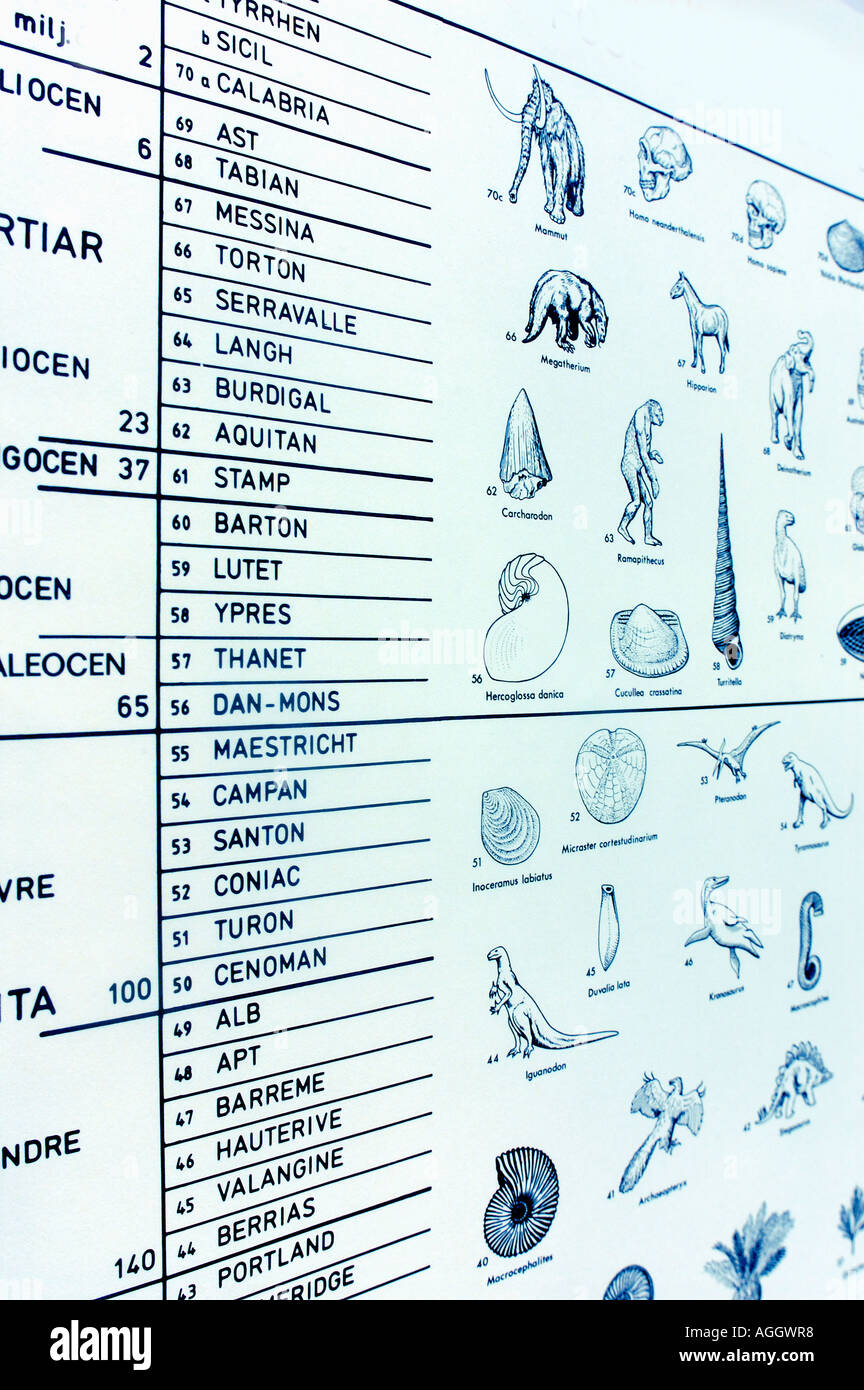 map of various prehistoric species Stock Photo - Alamy