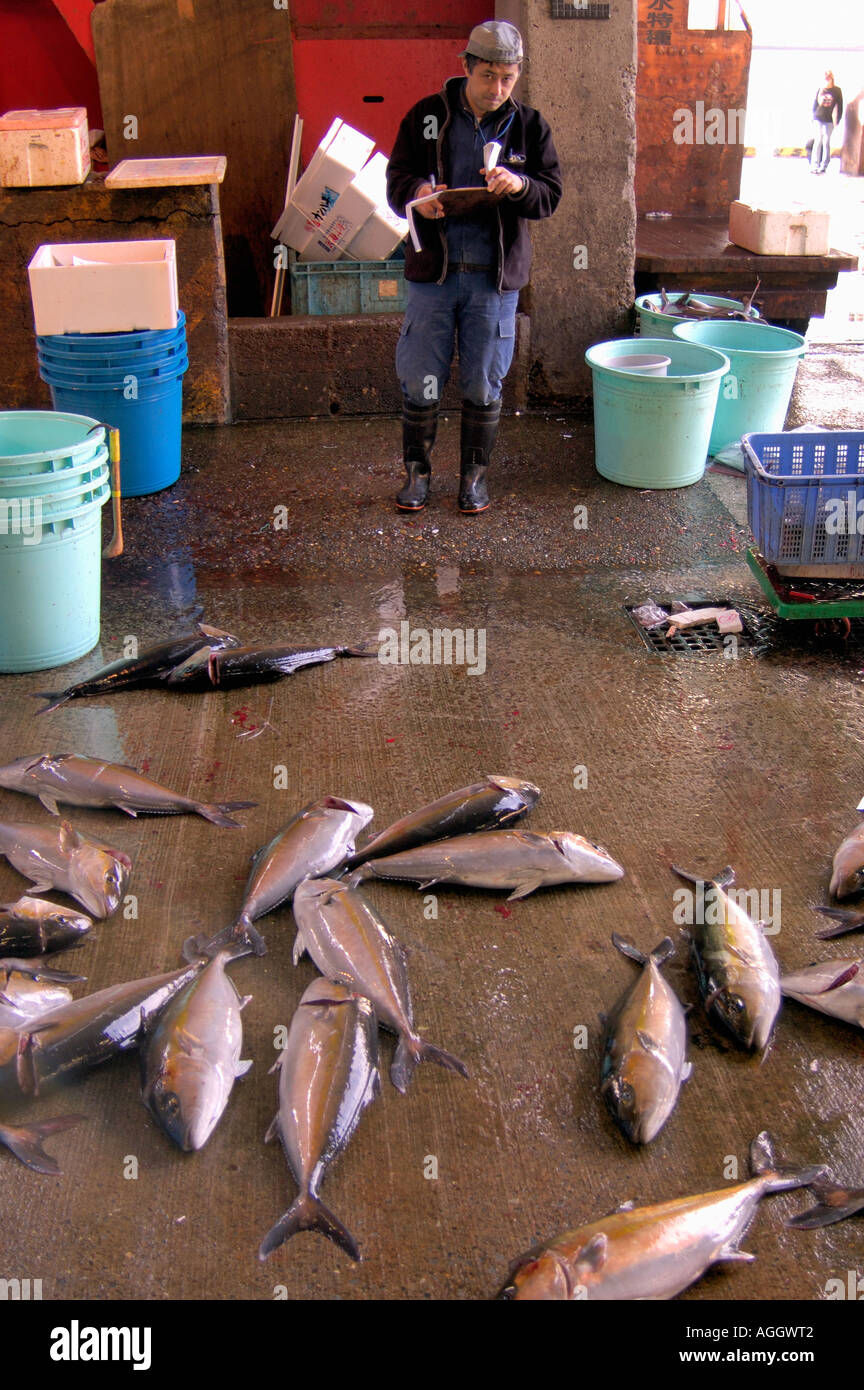 distribution of fresh fish, Fish Market, Tokyo, Japan Stock Photo - Alamy