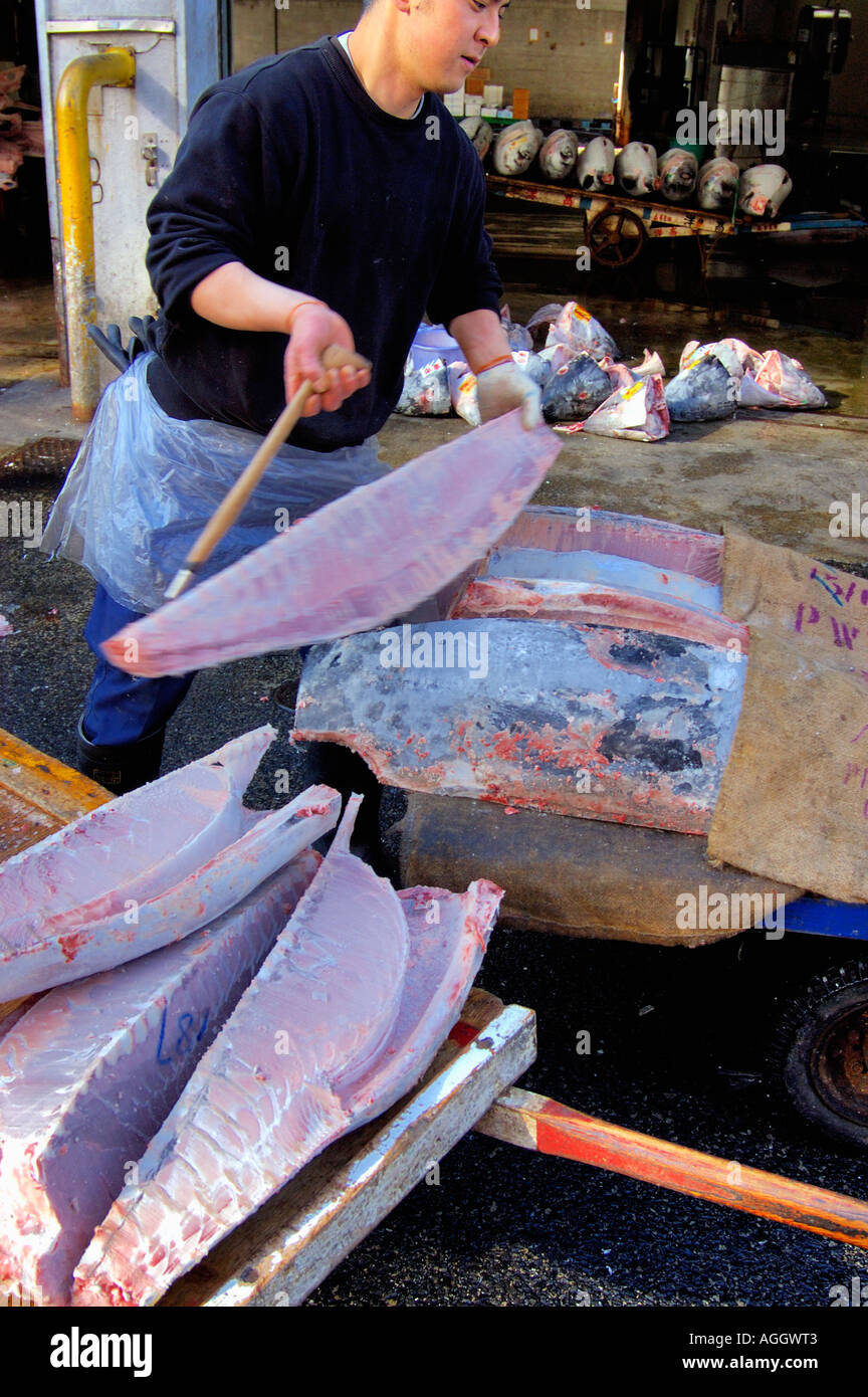 handling of frozen tuna fish, Fish Market, Tokyo, Japan Stock Photo - Alamy