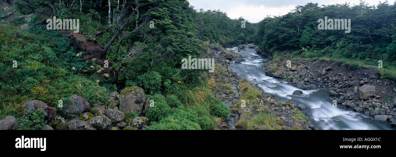 Mahuia river hi-res stock photography and images - Alamy