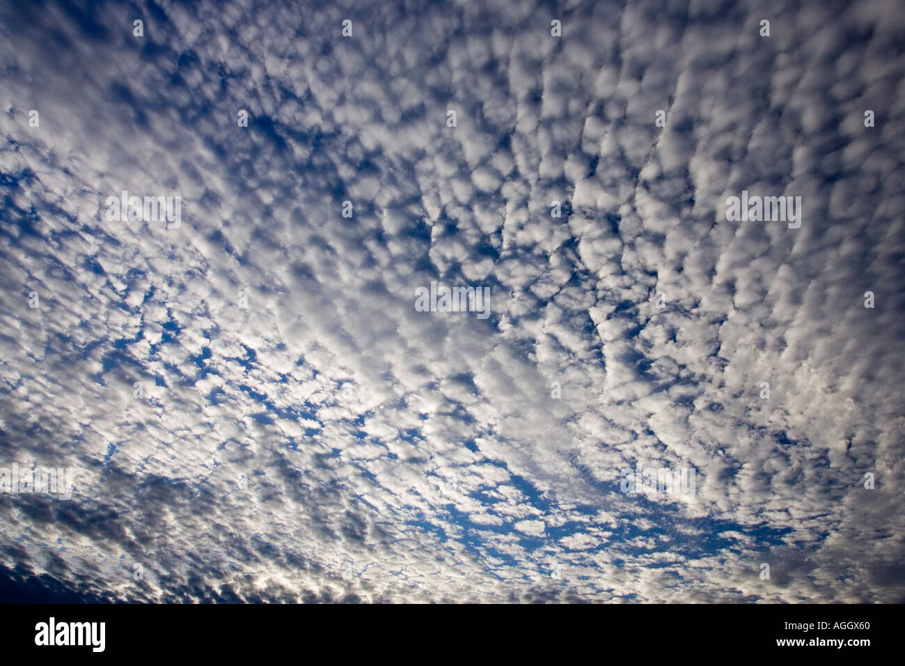 Altocumulus cloud pattern background hi-res stock photography and ...