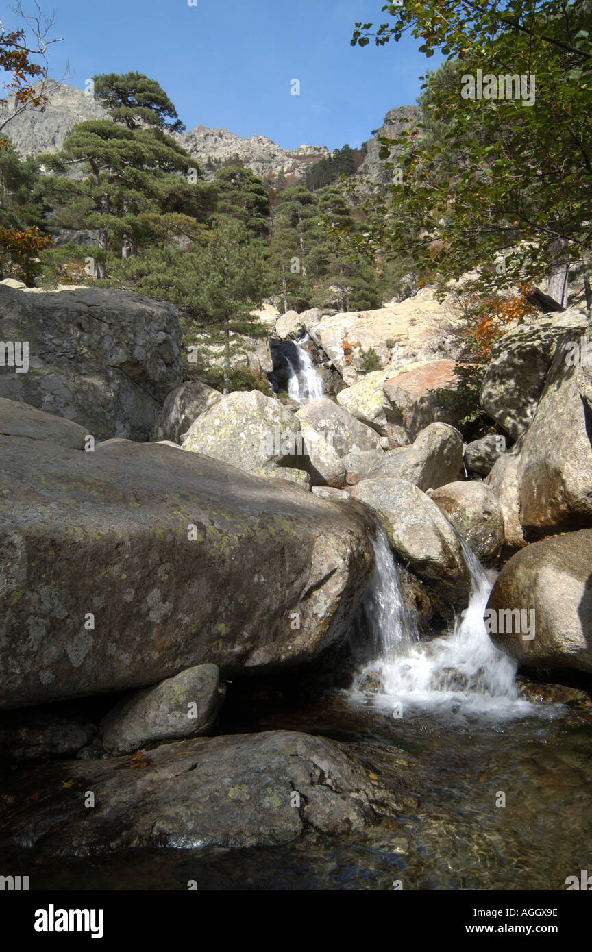 Cascade des Anglais near Vizzavona Corsica Stock Photo - Alamy