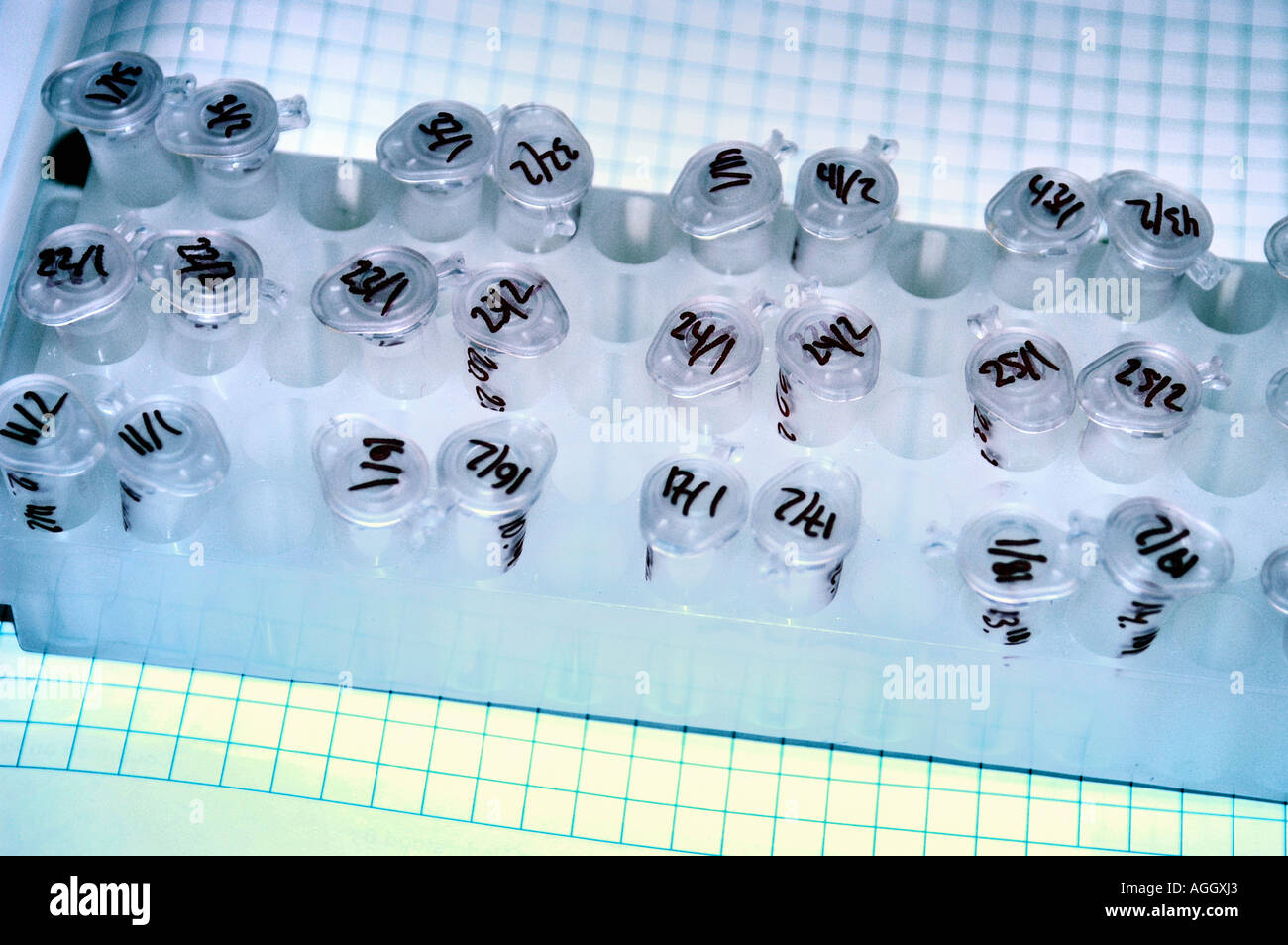 samples containing genetically modified / engineered material in ...