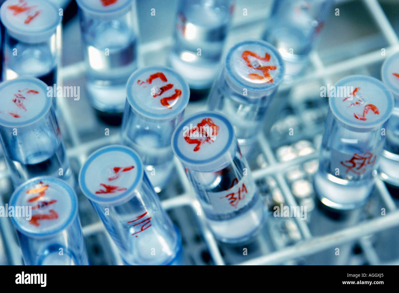 samples containing genetically modified / engineered material in ...