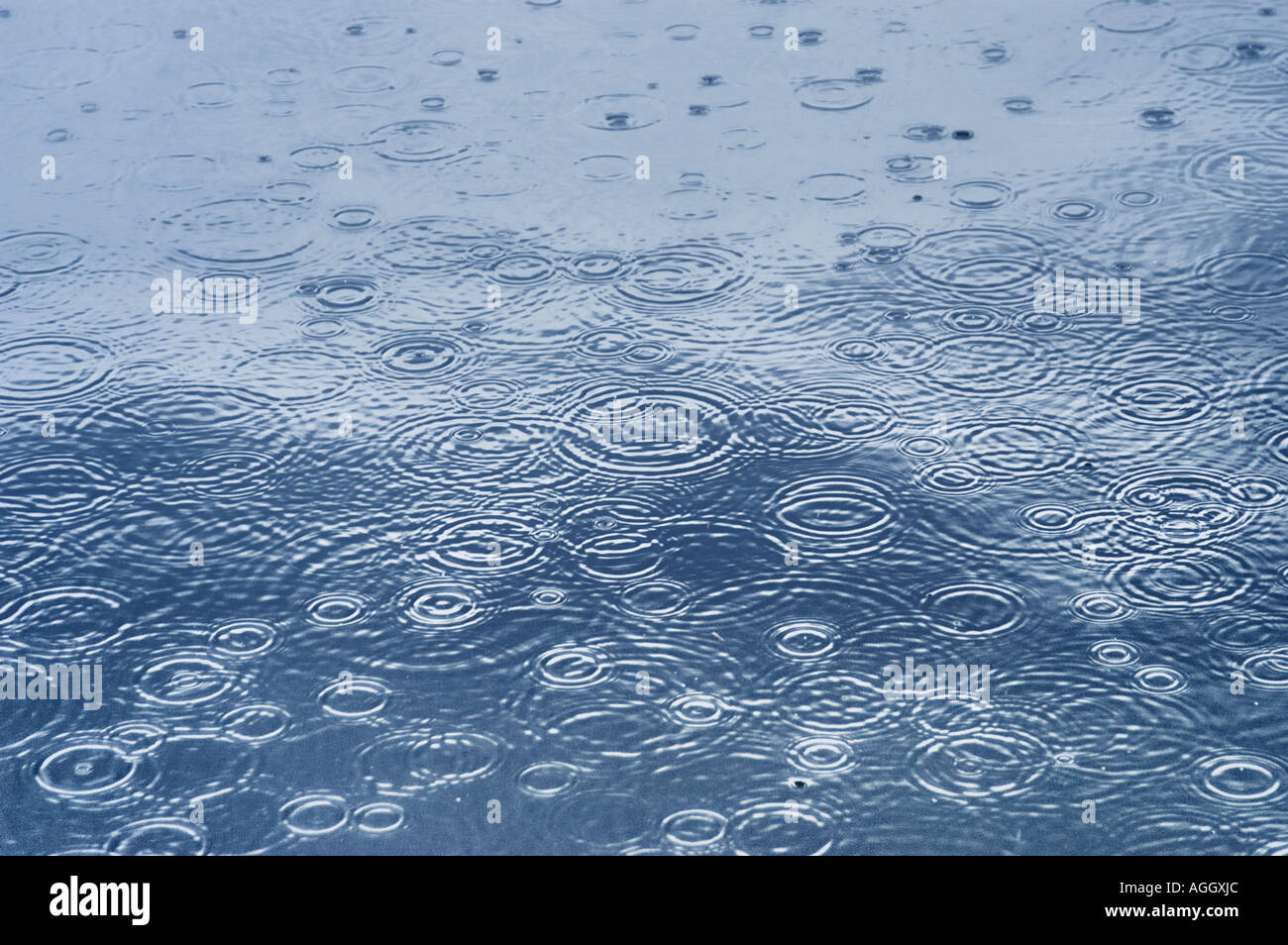 raindrops hitting water surface and creating ripples Stock Photo - Alamy