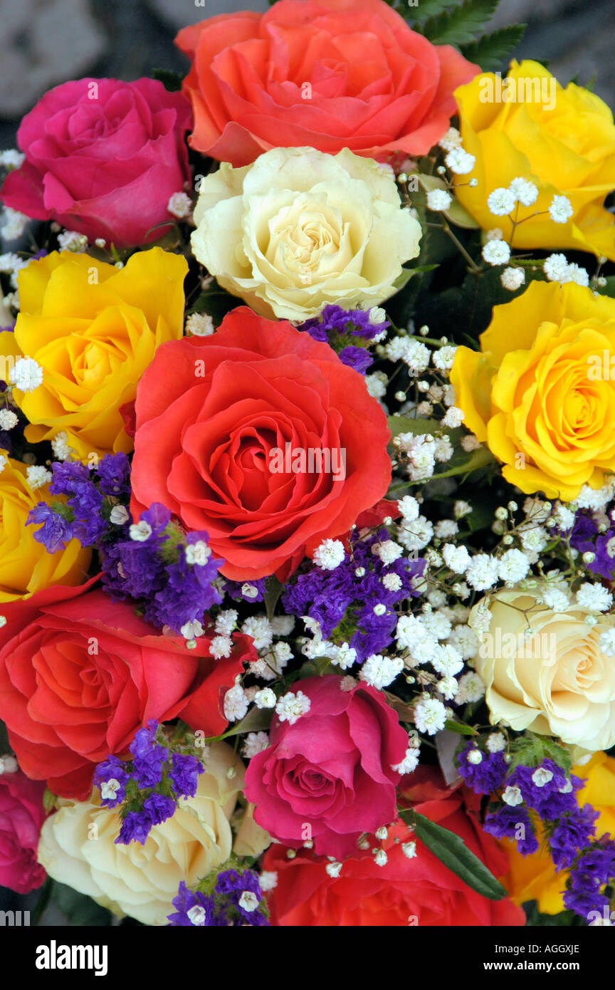a bunch of roses Stock Photo - Alamy