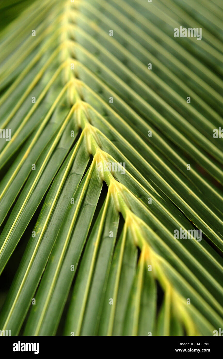 Parklands project hi-res stock photography and images - Alamy