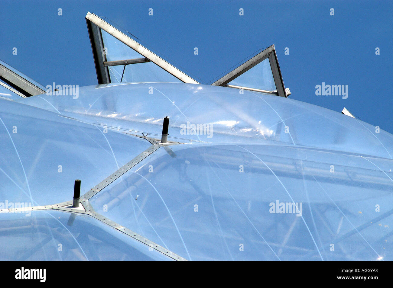 Roof detail eden project in hi-res stock photography and images - Alamy