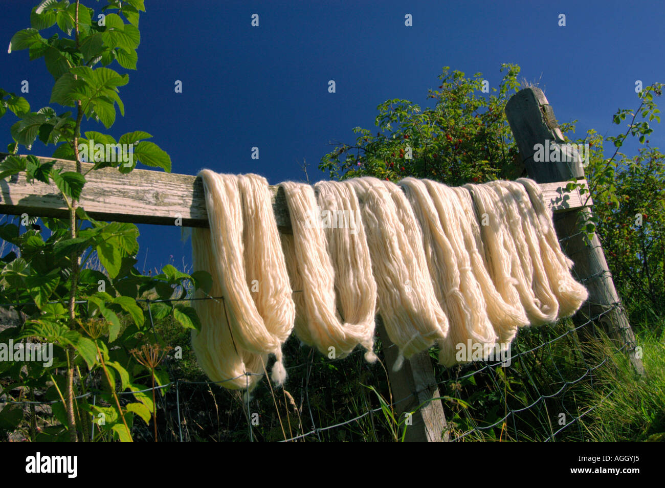yarn drying, Isle of Skye, Scotland Stock Photo - Alamy