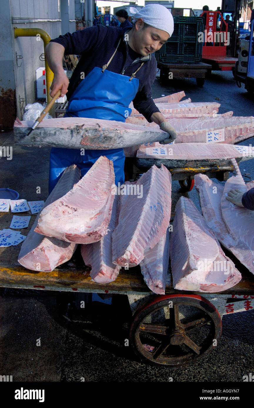 handling of frozen tuna fish, Fish Market, Tokyo, Japan Stock Photo - Alamy