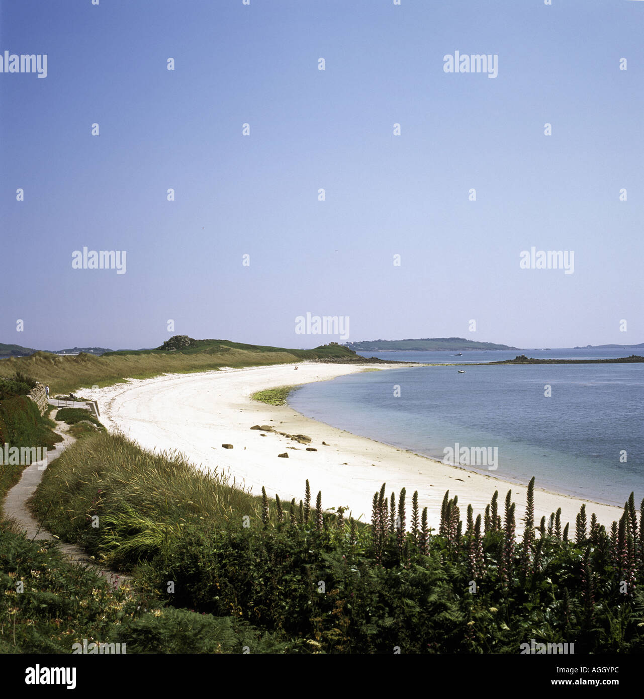 Golden appletree hi-res stock photography and images - Alamy