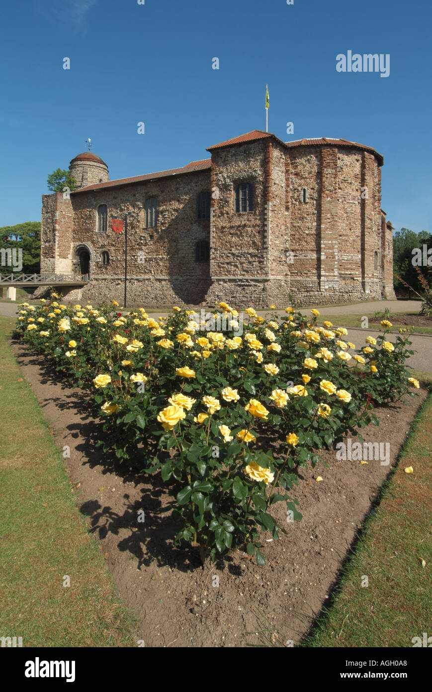 Historical building colchester hi-res stock photography and images - Alamy