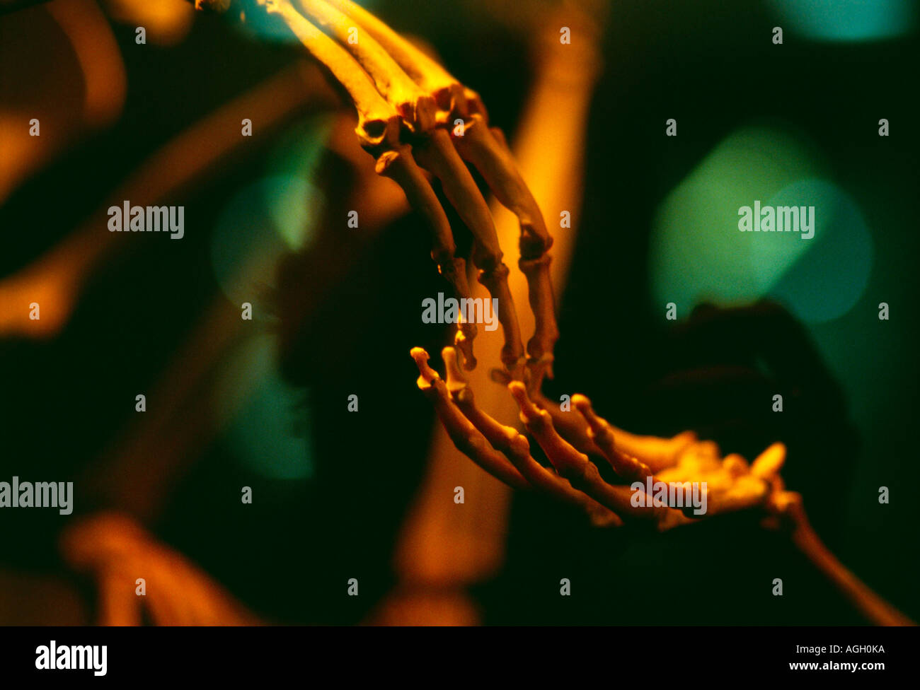 Skeletons hands hi-res stock photography and images - Alamy