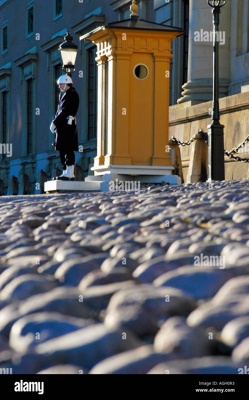 royal guard at sentinel, Royal Palace, Stockholm, Sweden Stock Photo ...