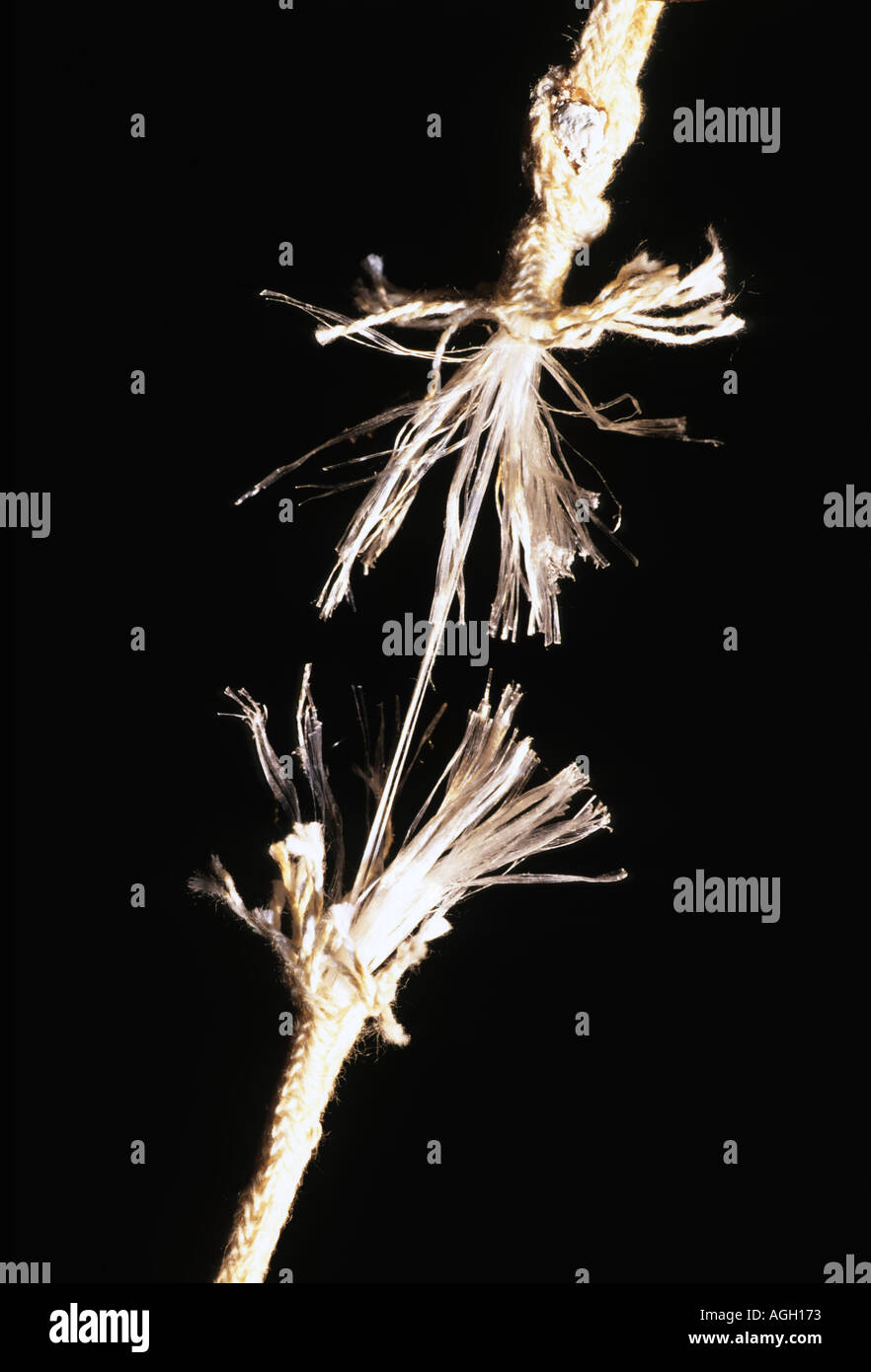 Broken rope hi-res stock photography and images - Alamy