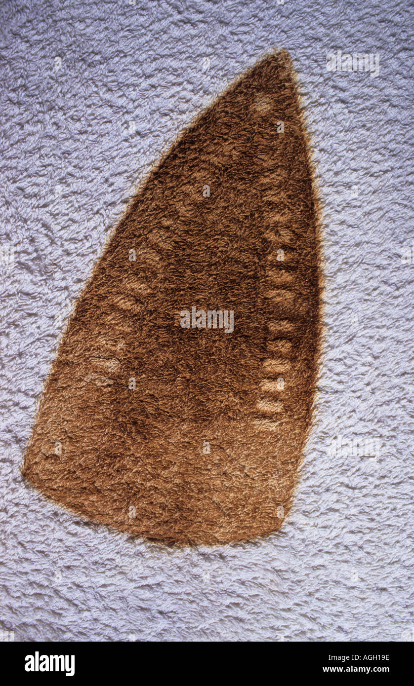 burnt outline of iron on cloth due to iron being left on too long Stock ...