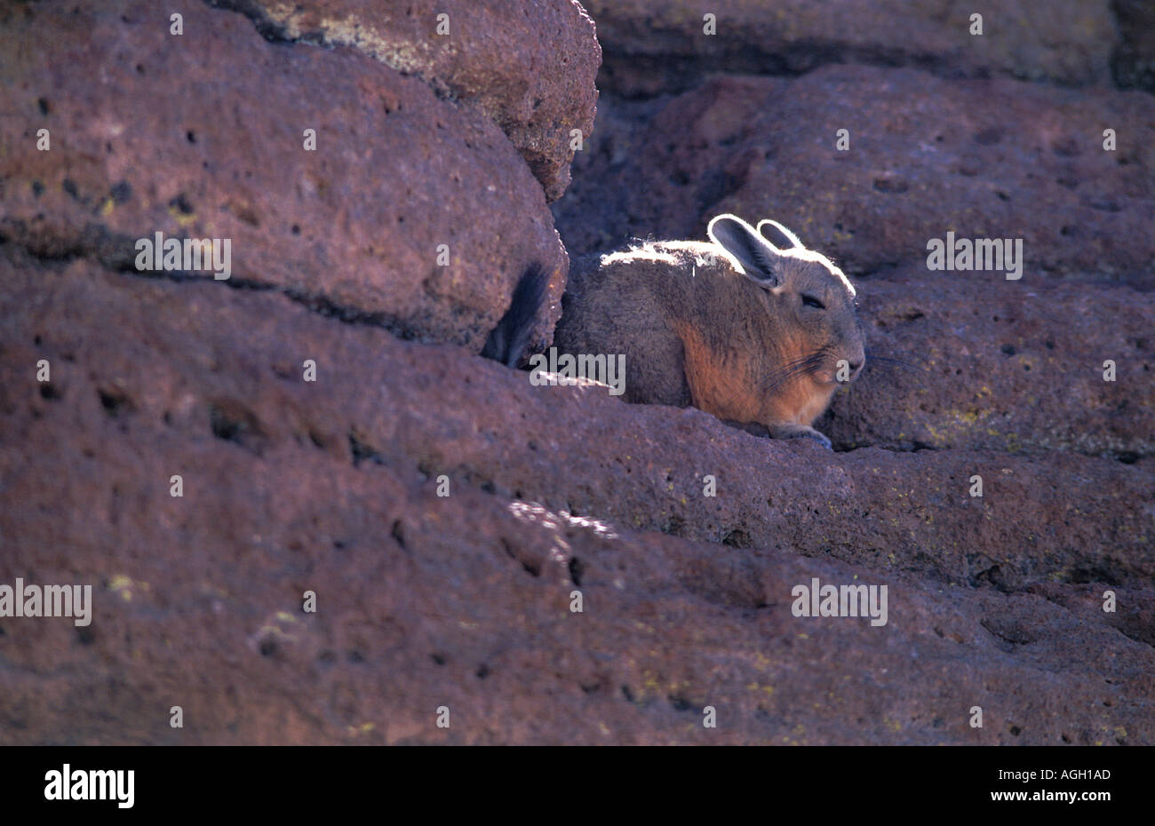 Bolivia04308 hi-res stock photography and images - Alamy