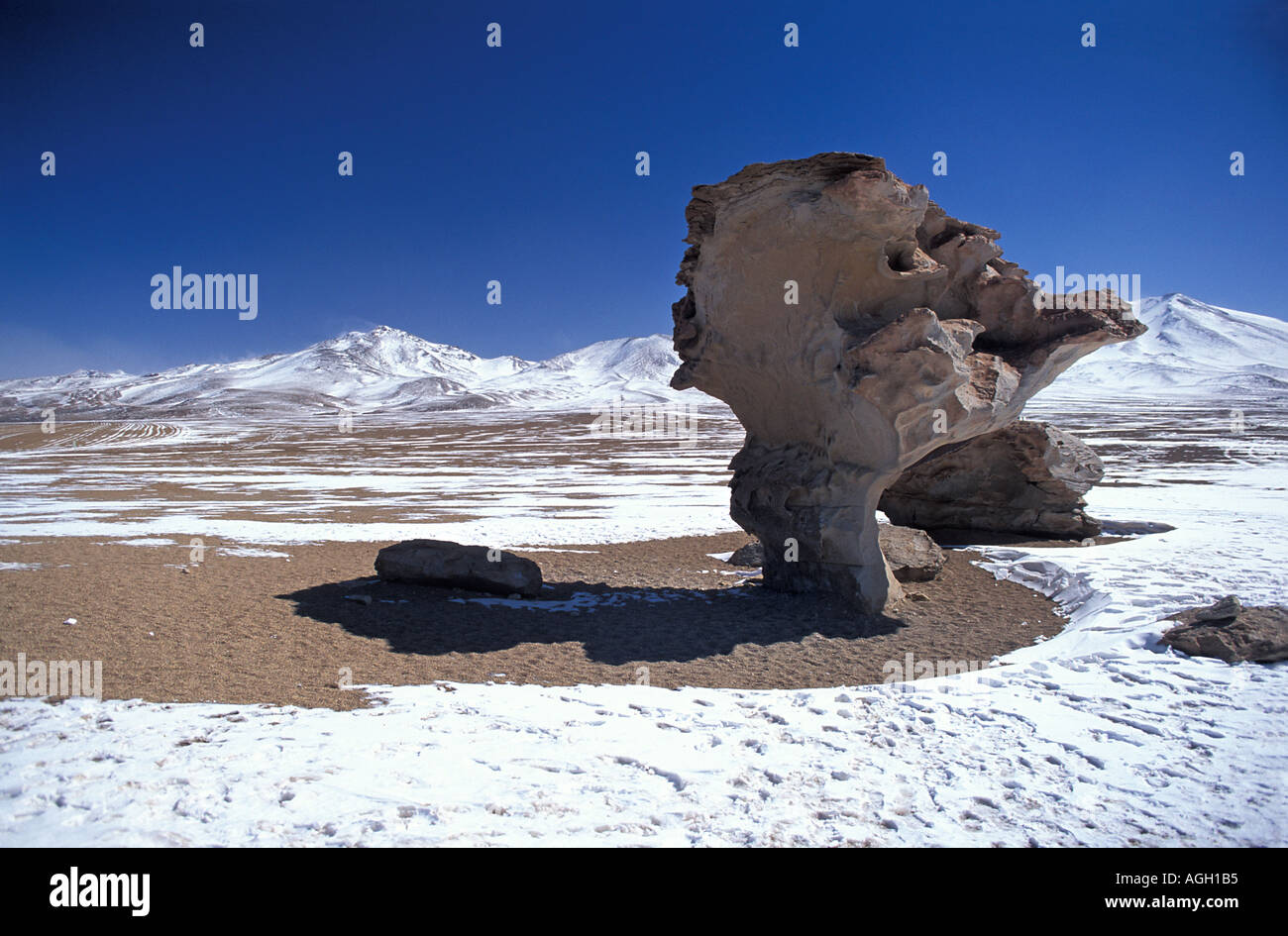 Reserva Nacional Eduardo Avaroa an area of natural beauty in SW Bolivia ...