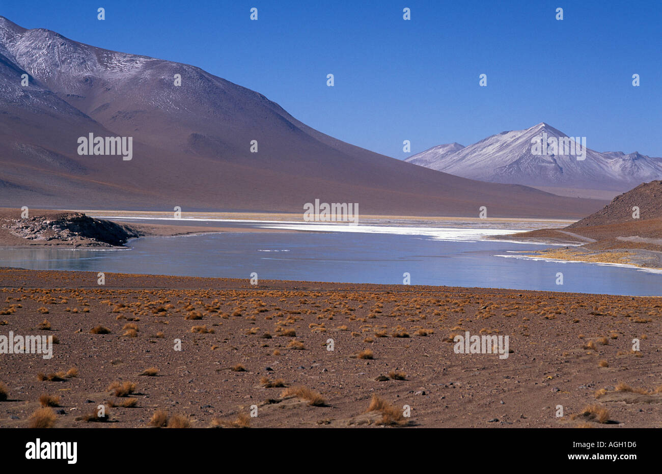 Road leading to the Laguna Colorado the largest lake in the Reserva ...