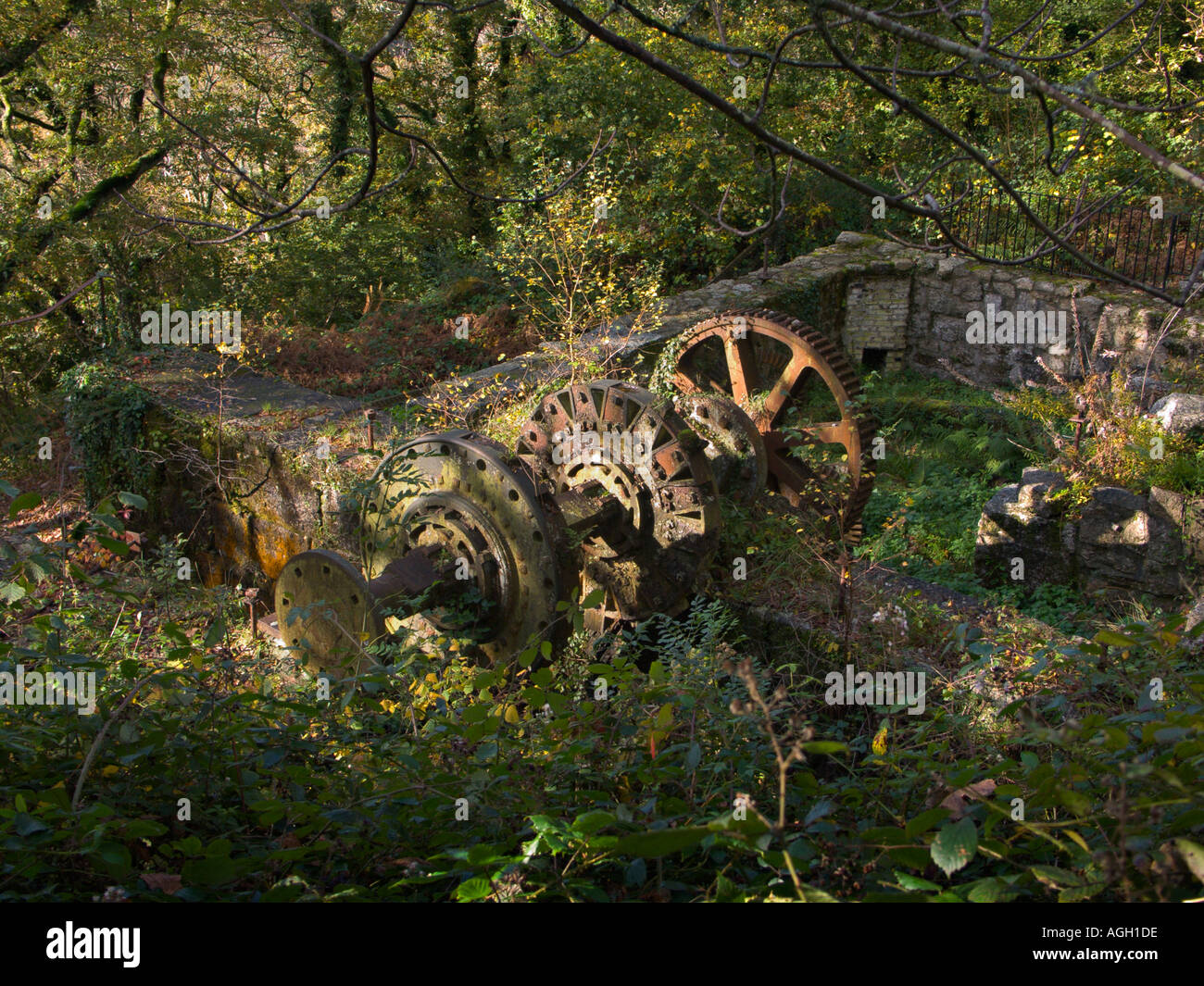 Rusting industrial machinery in a wood Stock Photo - Alamy