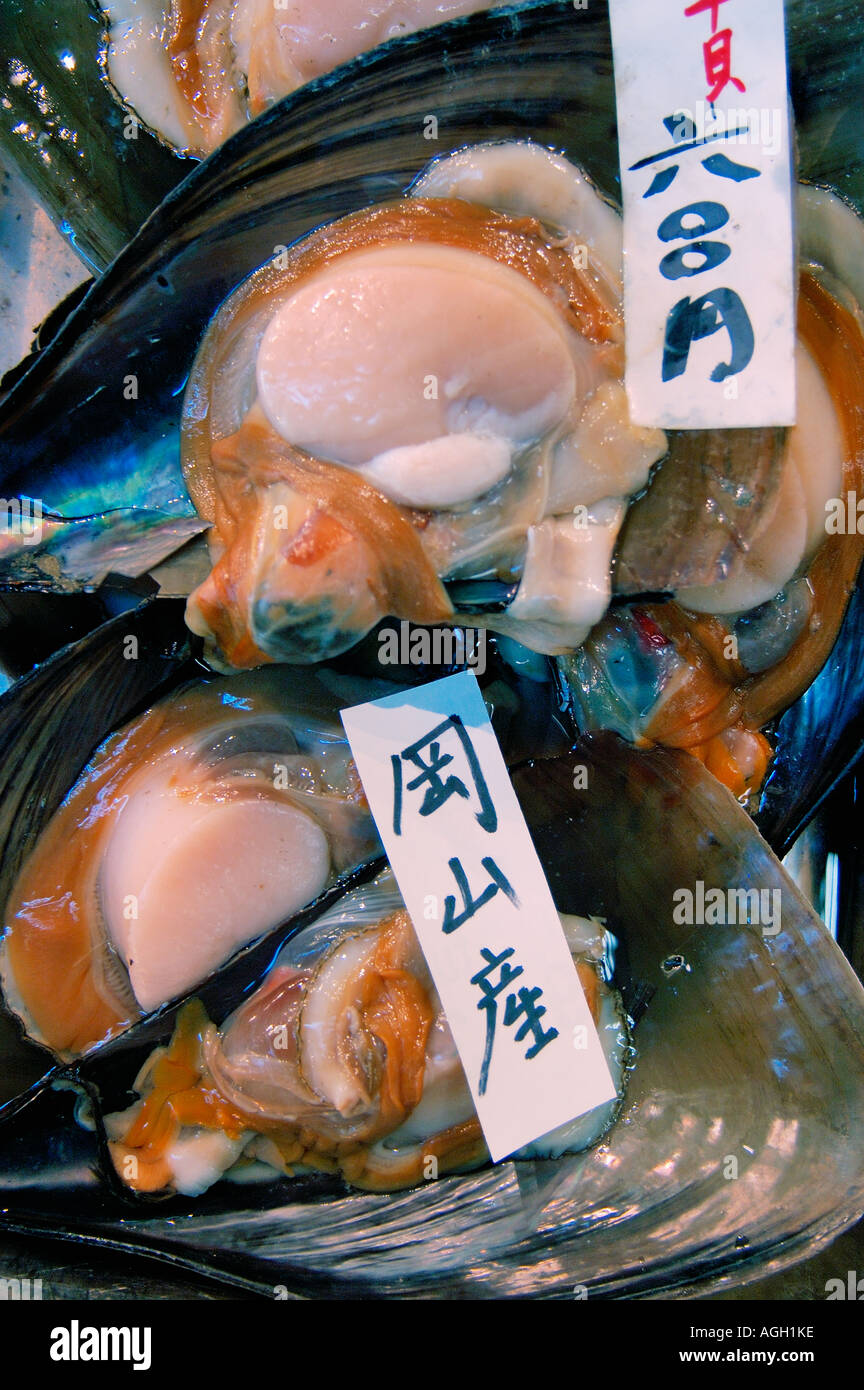 Clam fish hi-res stock photography and images - Alamy