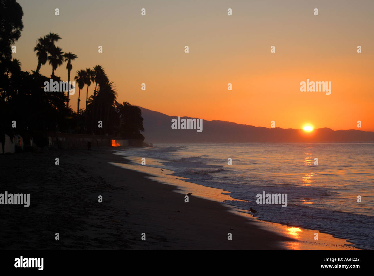 Butterfly beach sunrise hi-res stock photography and images - Alamy