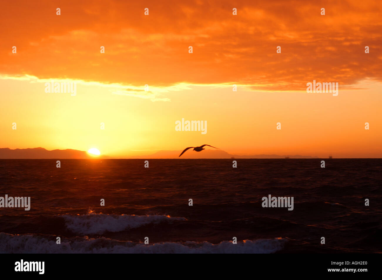 Santa barbara leadbetter beach hi-res stock photography and images - Alamy