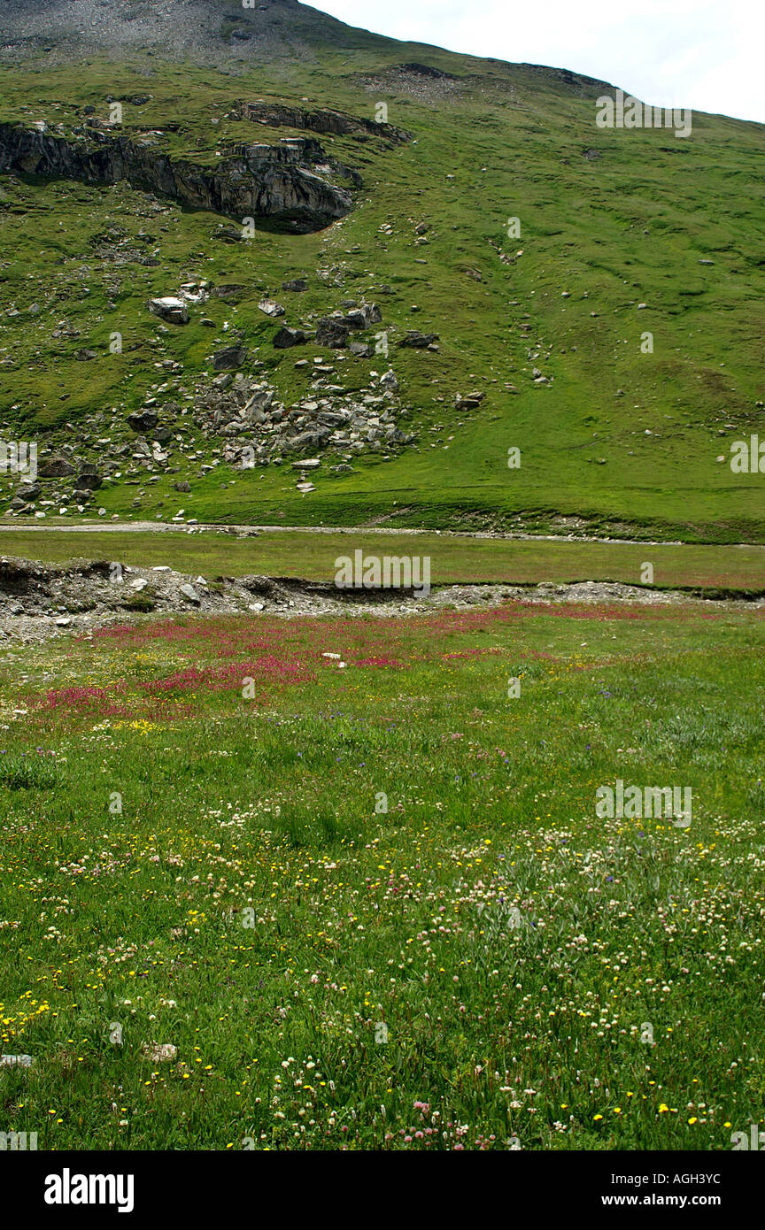 Snow gulley hi-res stock photography and images - Alamy