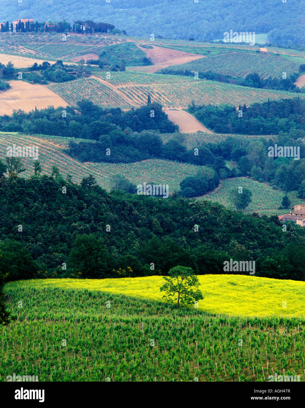 Gambassi terme hi-res stock photography and images - Alamy