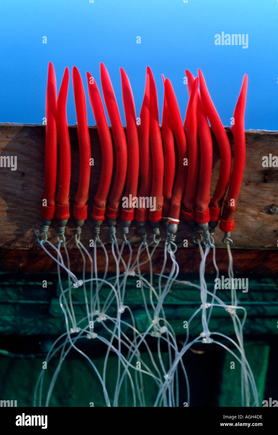 Kvitsoy High Resolution Stock Photography and Images - Alamy