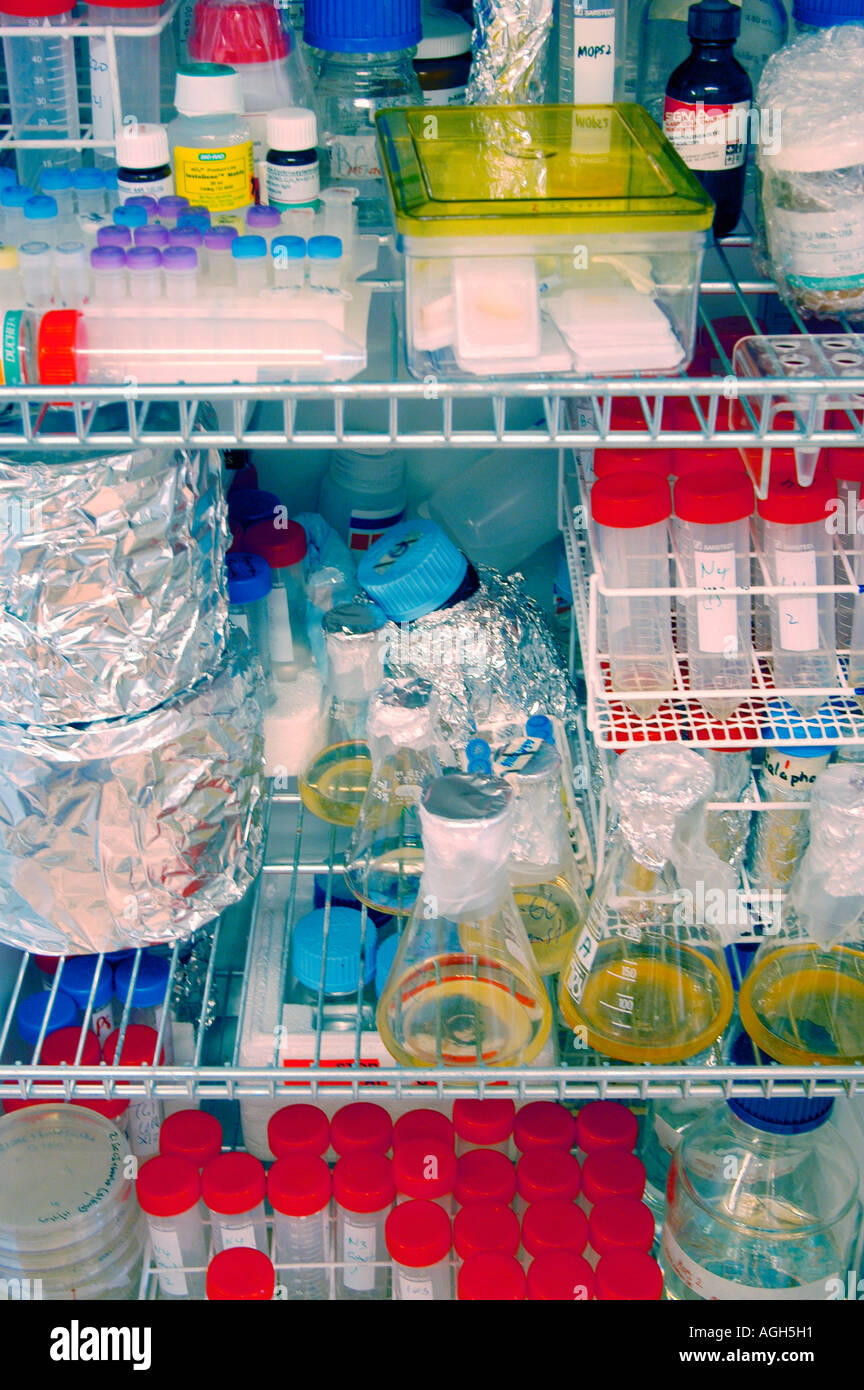 refrigerator containing various samples and liquids used in molecular ...