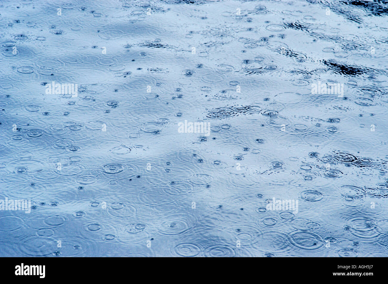 raindrops hitting water surface and creating ripples Stock Photo - Alamy