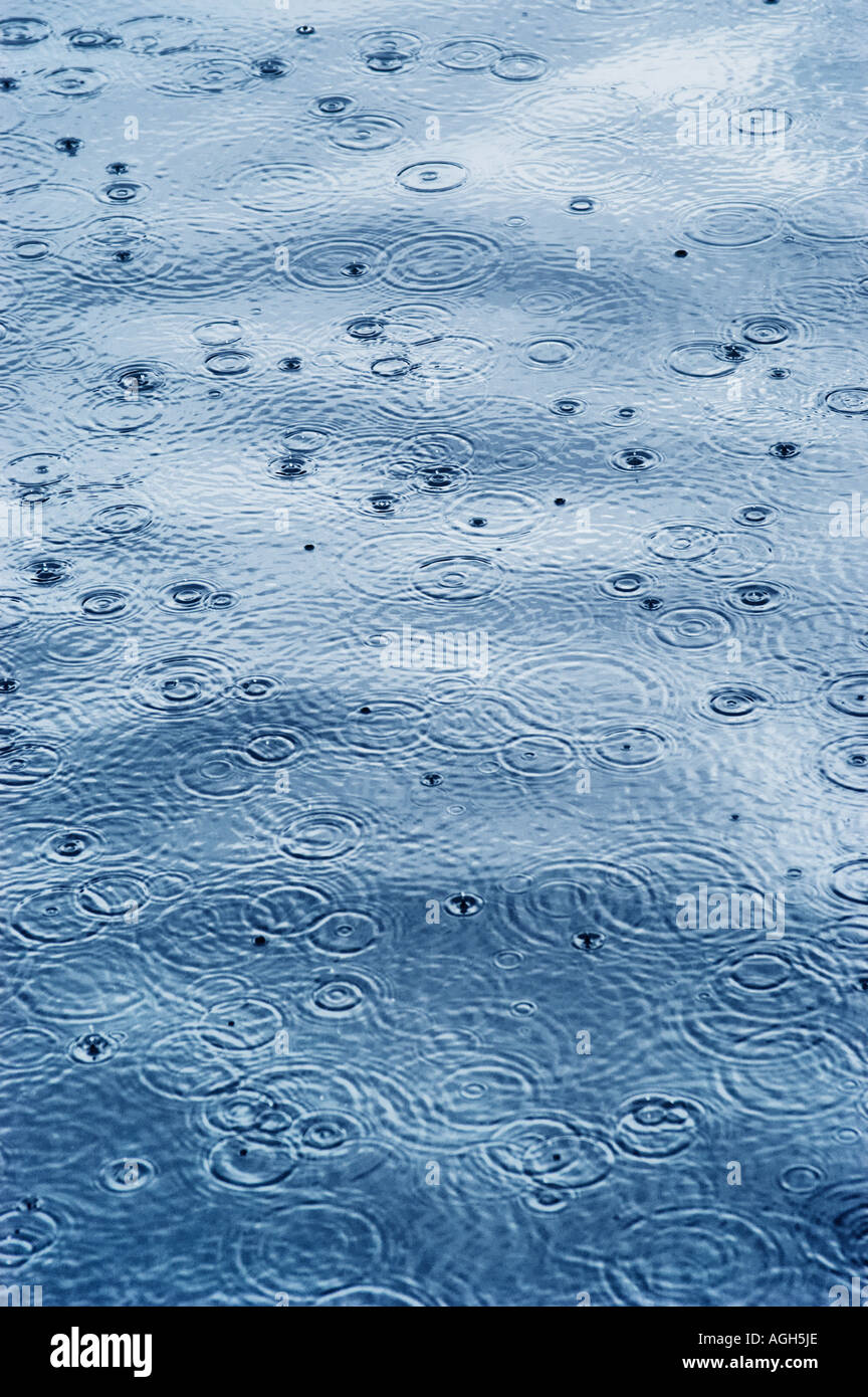 raindrops hitting water surface and creating ripples Stock Photo - Alamy