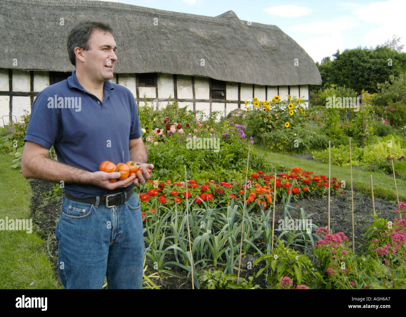 Michael Goodenough tends his allotment Stock Photo - Alamy
